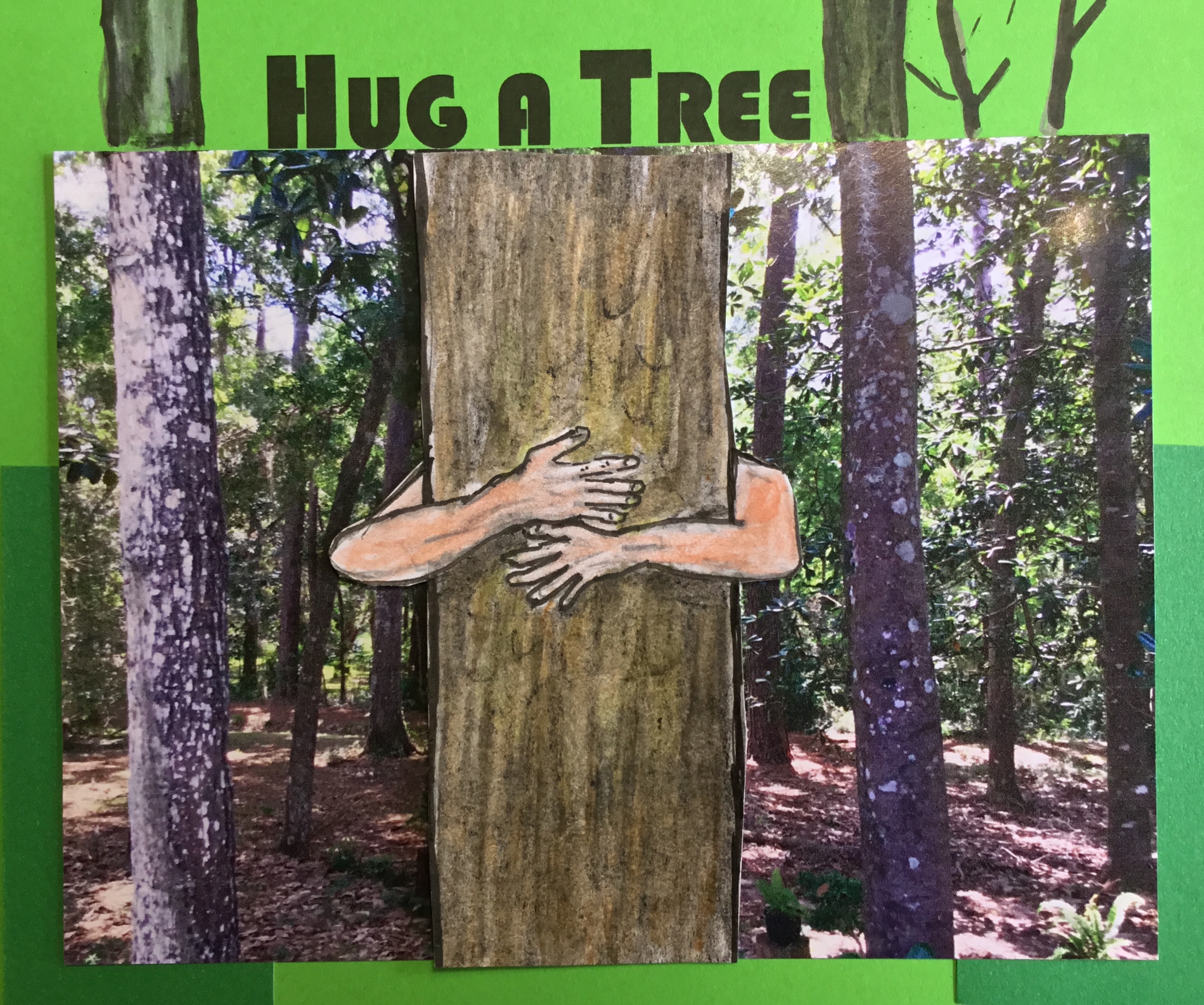 HUG A TREE – DrJoyFinder